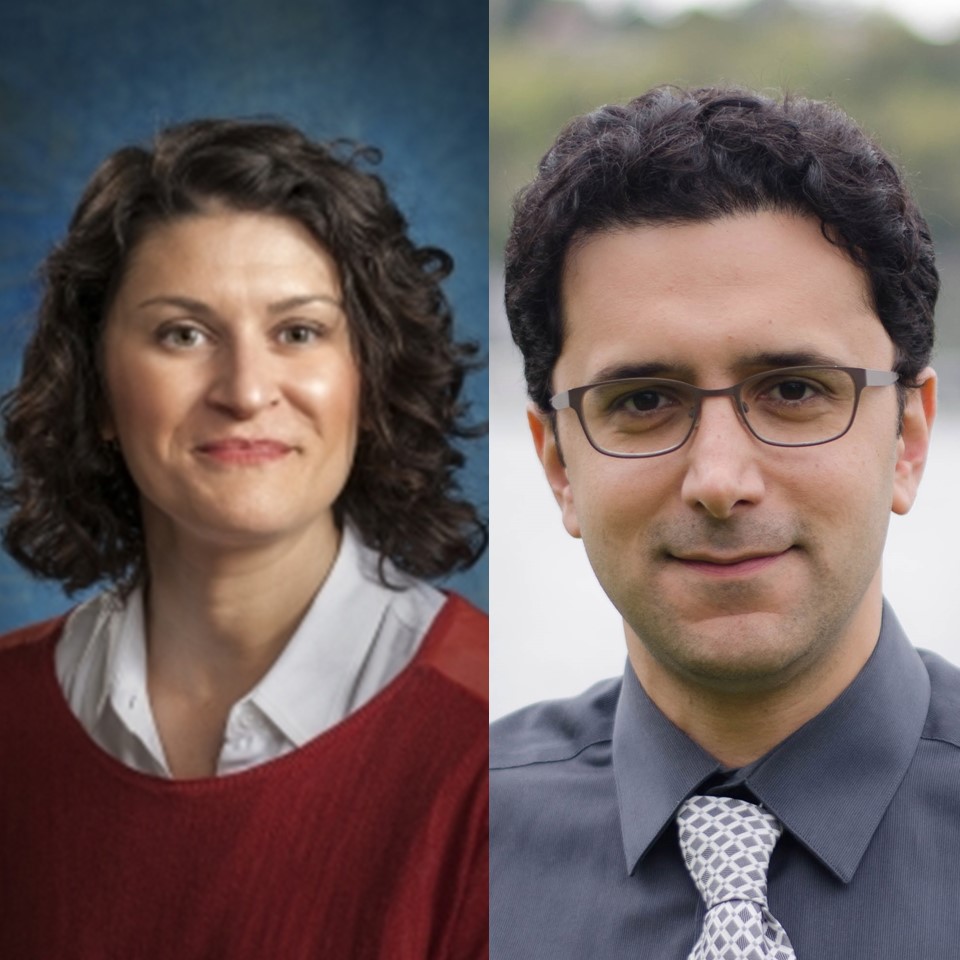 Ali Rowhani-Rahbar and Heather Hill Awarded U01 to Investigate EITC and ...