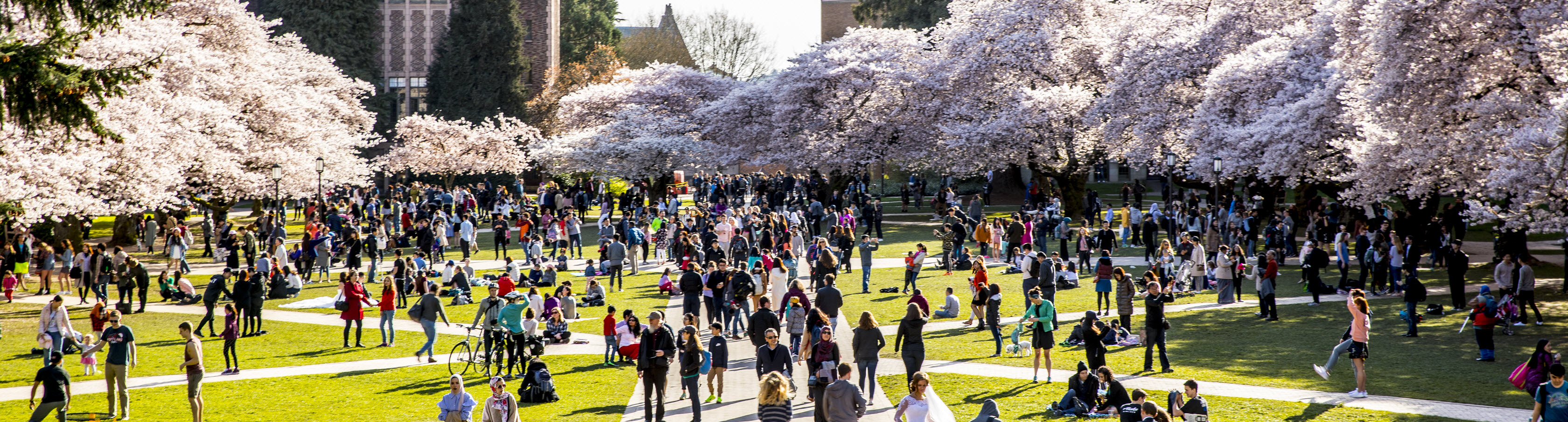 UW College of Arts and Sciences Social Science Research Centers ...